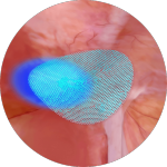 Biomorphic Programmable Polymers Explained | TISSIUM Technology